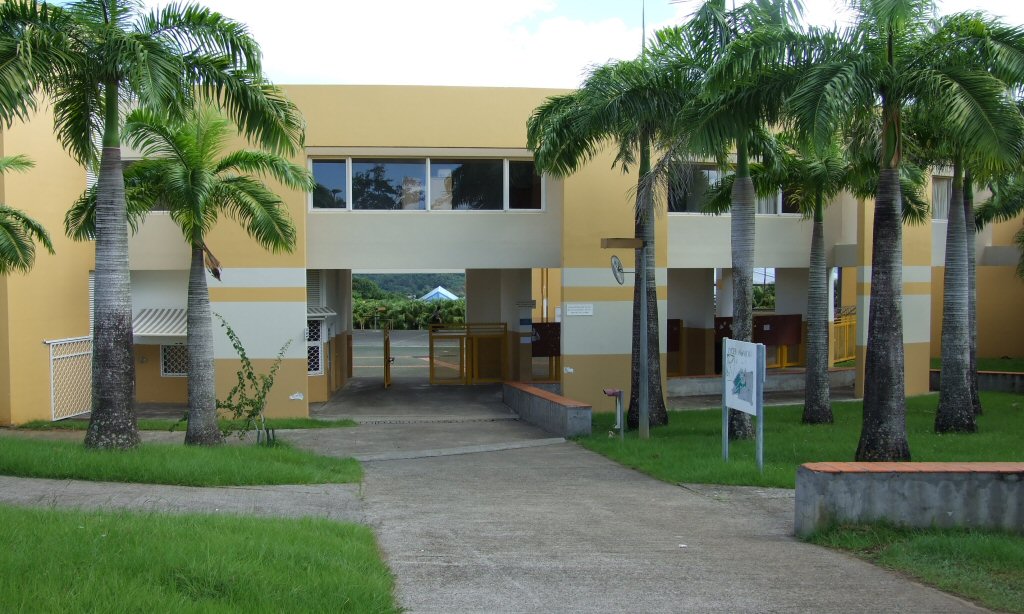 lycee tofs 058 – LPO ACAJOU 2