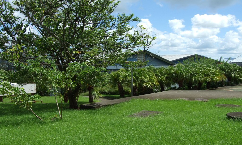 lycee tofs 095 – LPO ACAJOU 2